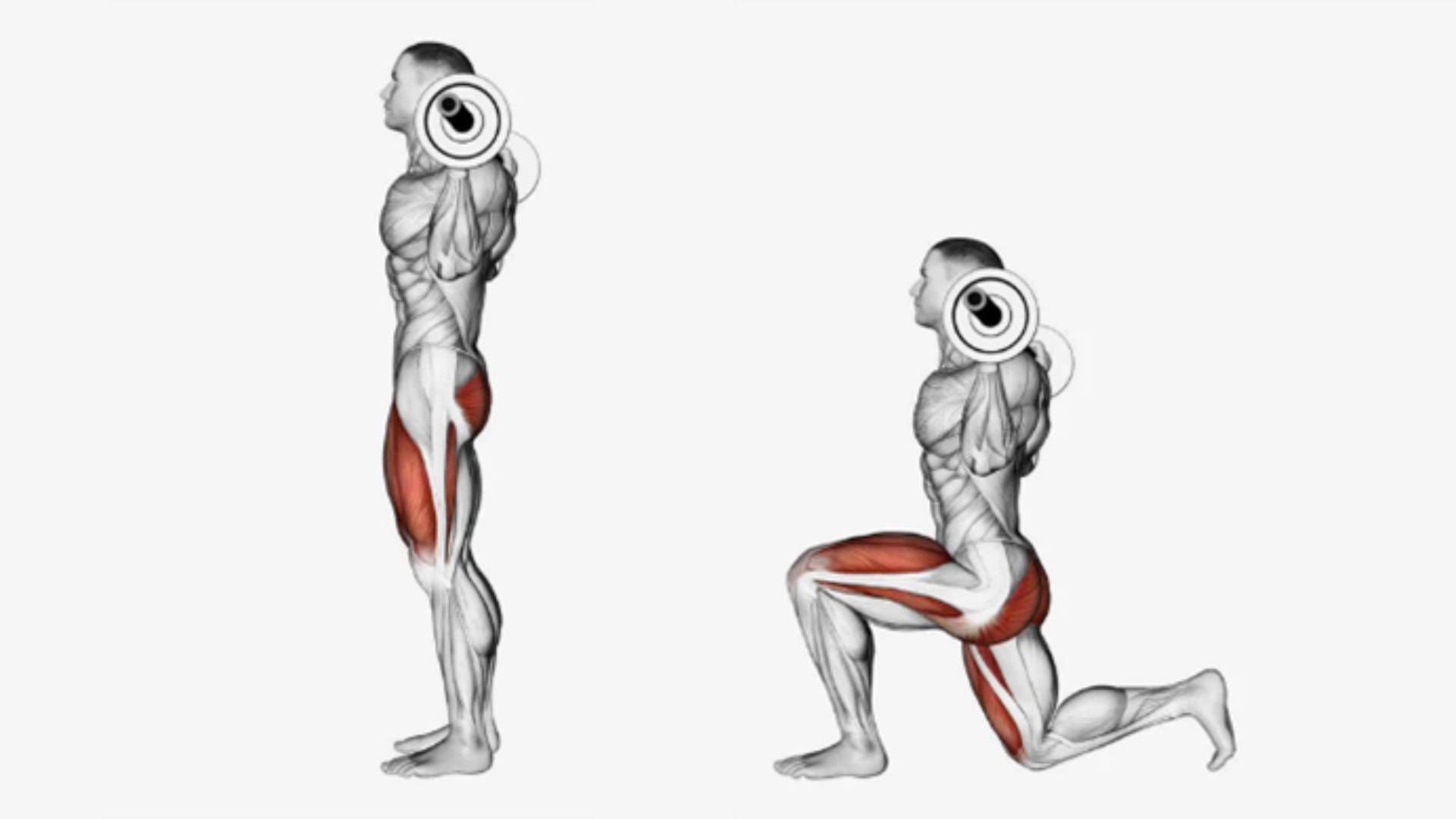 10 Ultimate Leg Workouts With Barbell