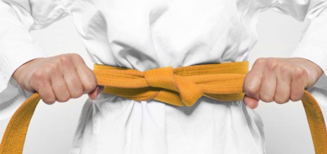 Martial Arts Belt Levels | Karate Belt Colors Guide